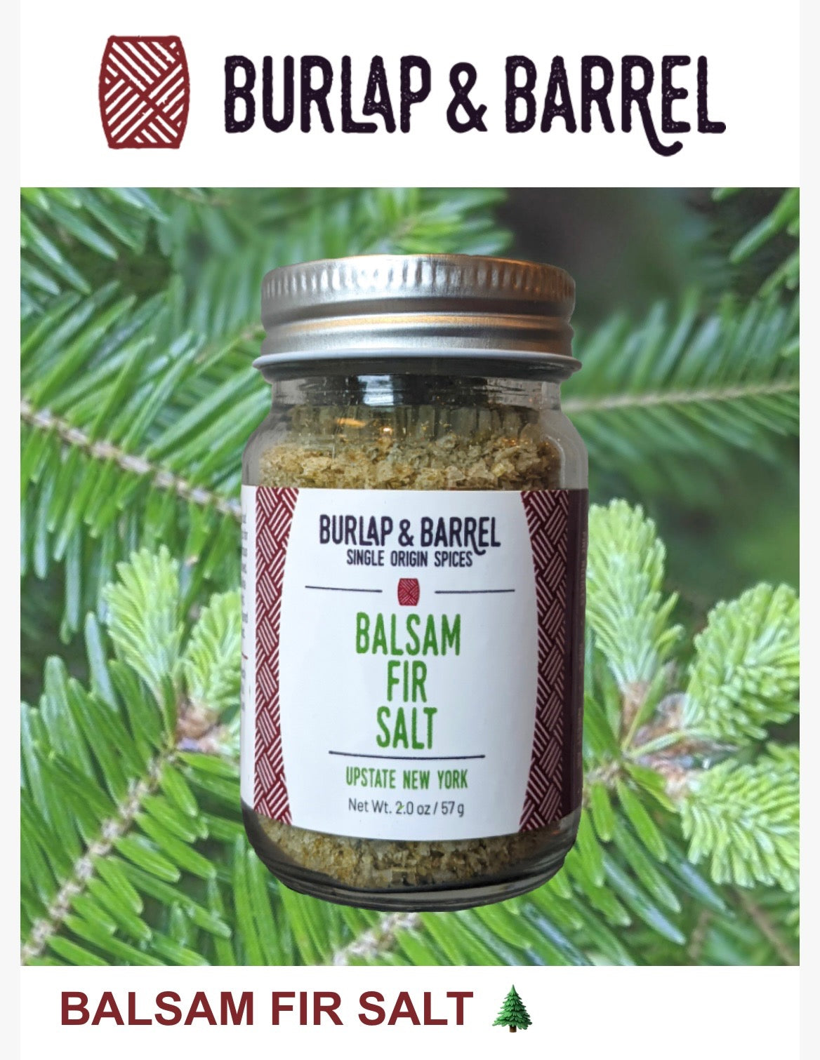 Burlap & Barrel Balsam Tip Salt – Syracuse Salt Co.